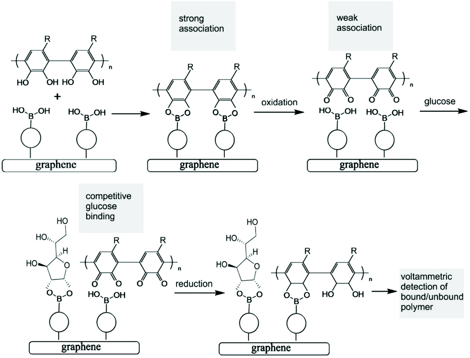 Polymer Indicator Displacement Assay: Electrochemical Glucose ...