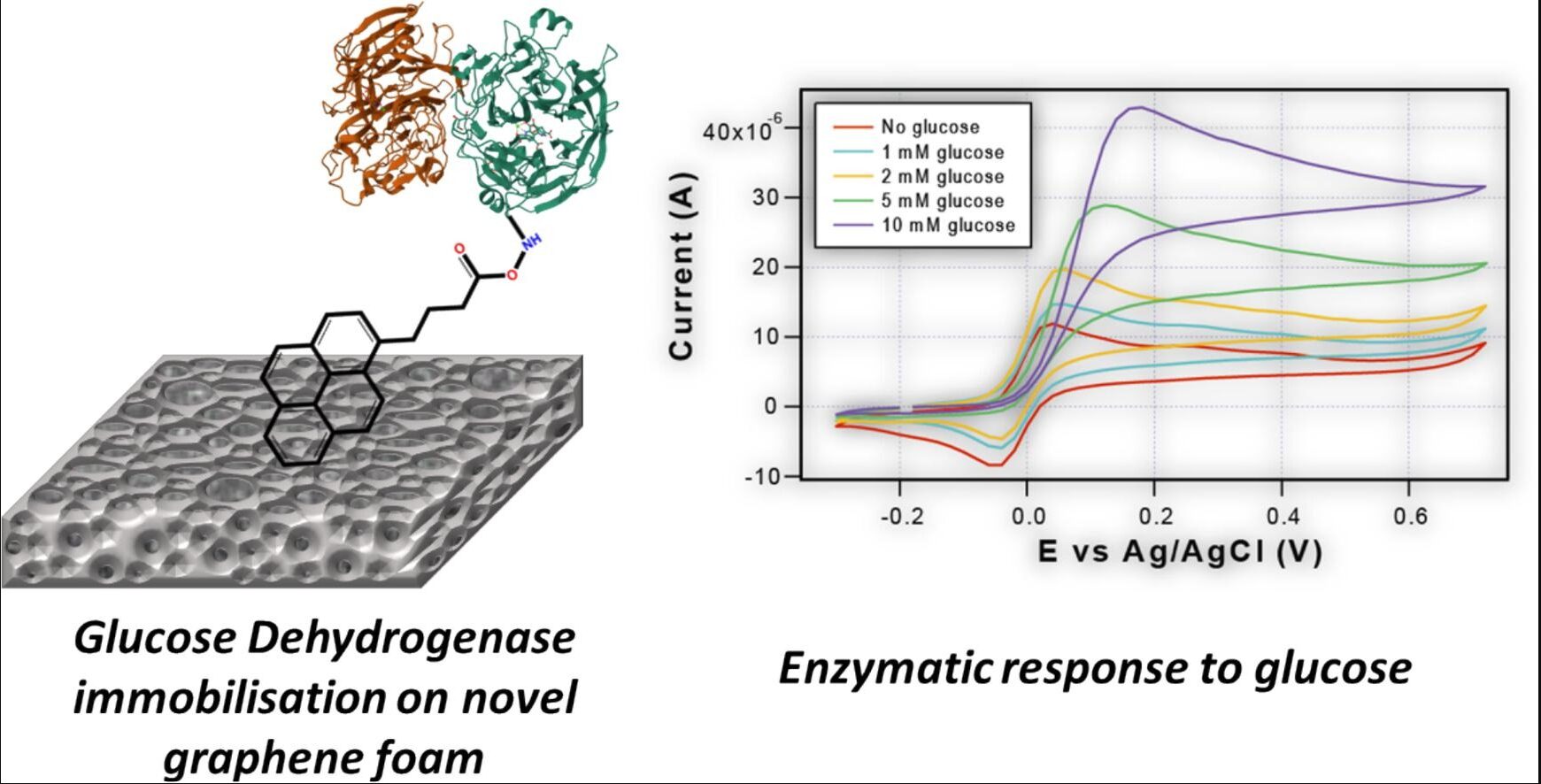 Implementation of a simple functionalisation of graphene (Gii-Sens) in ...